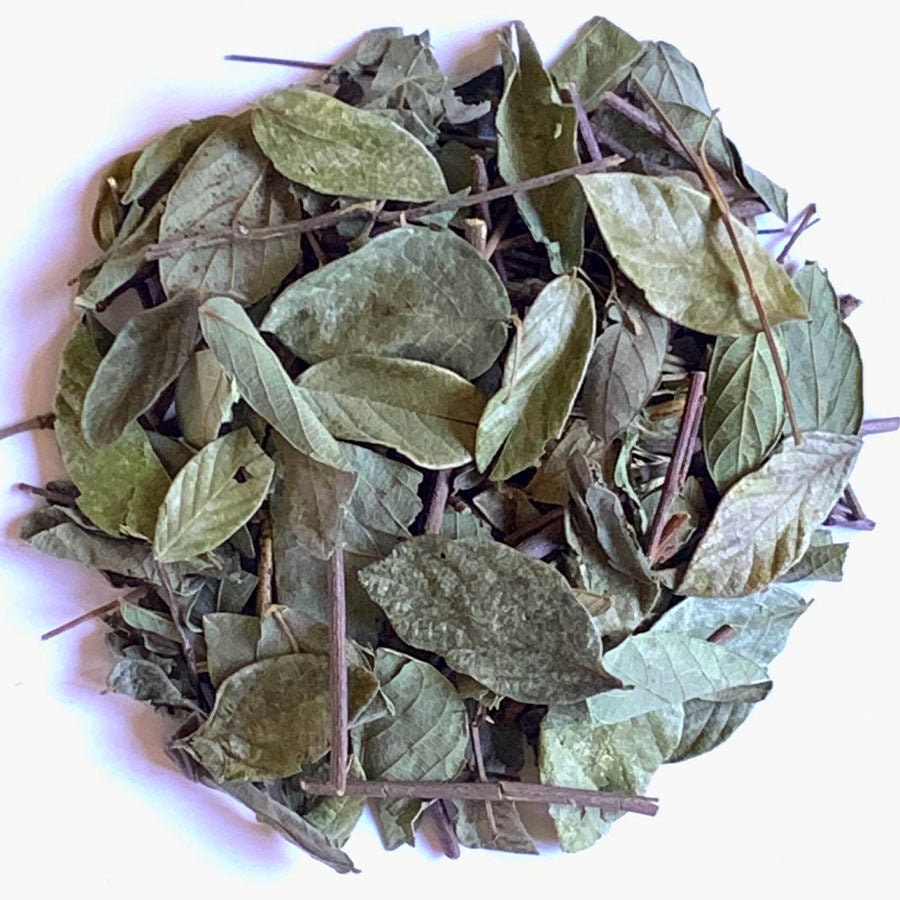 Strongback Herbal Tea - Etsy