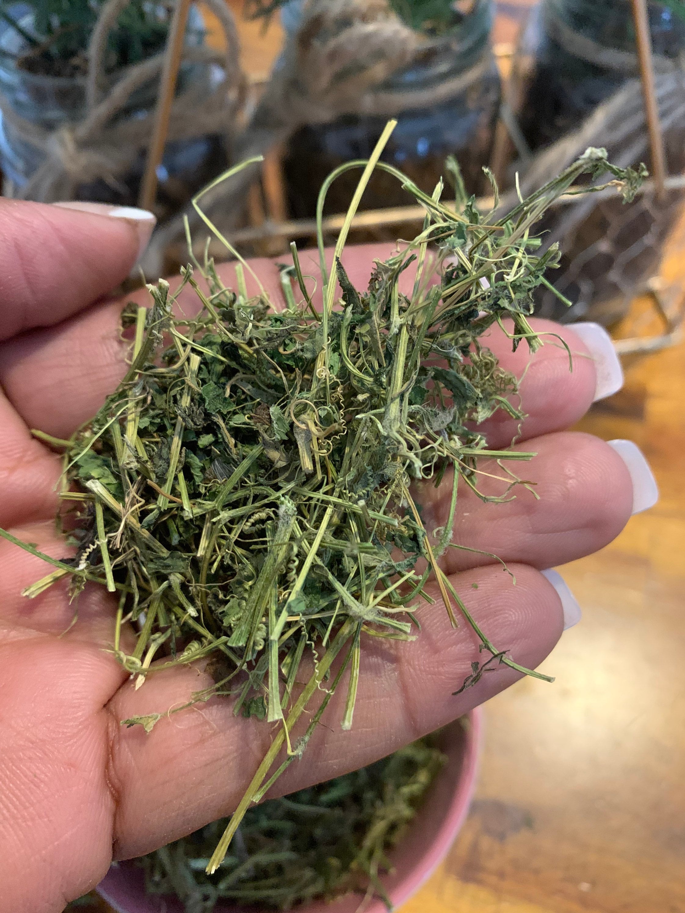 Cerasee Herbal Tea: Bitter Melon Leaf Tea - Etsy