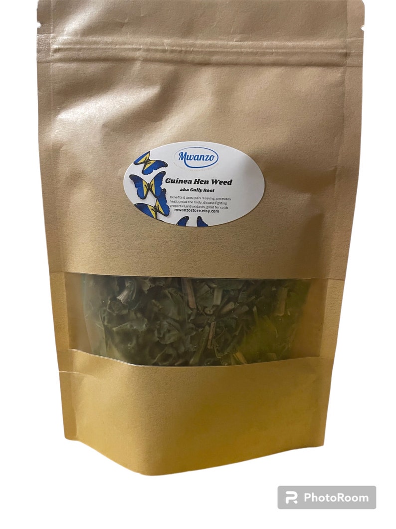 Guinea Hen Weed (anamu) - Etsy