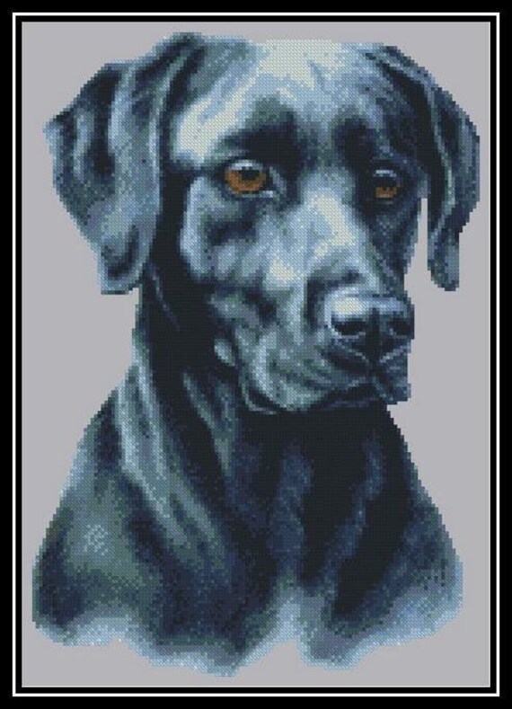 Black Labrador Cross Stitch Chart/pattern/design/xstitch | Etsy