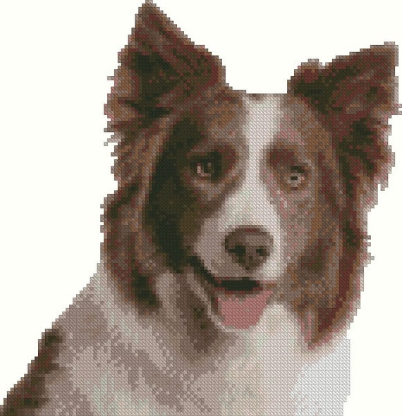 Brown Border Collie Cross Stitch - Etsy