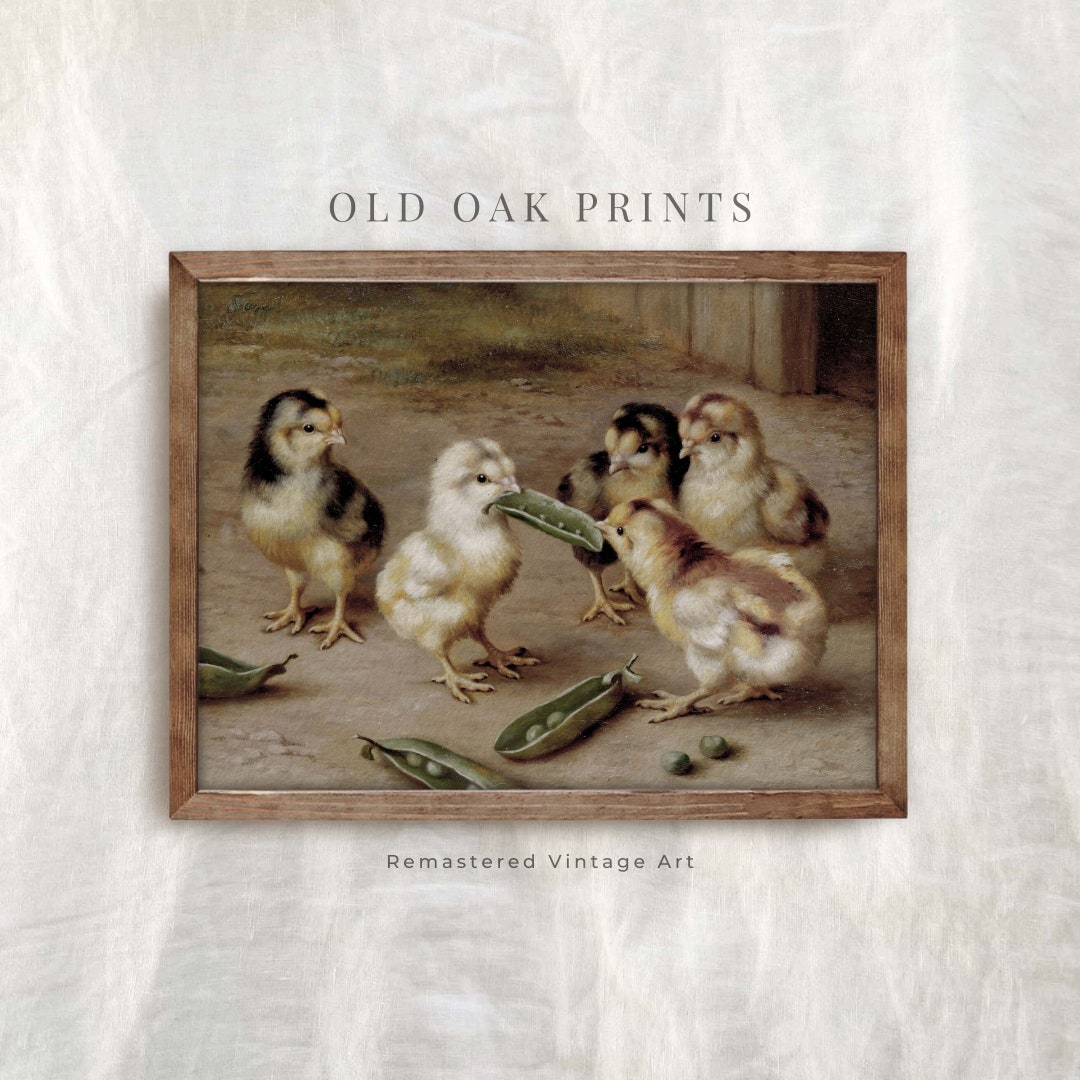 Vintage Country Kitchen Print Spring Farm Animal Print Baby Chickens ...