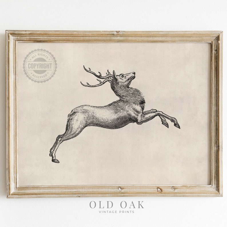 Antique Deer Sketch Vintage Etching Antique Woodland - Etsy