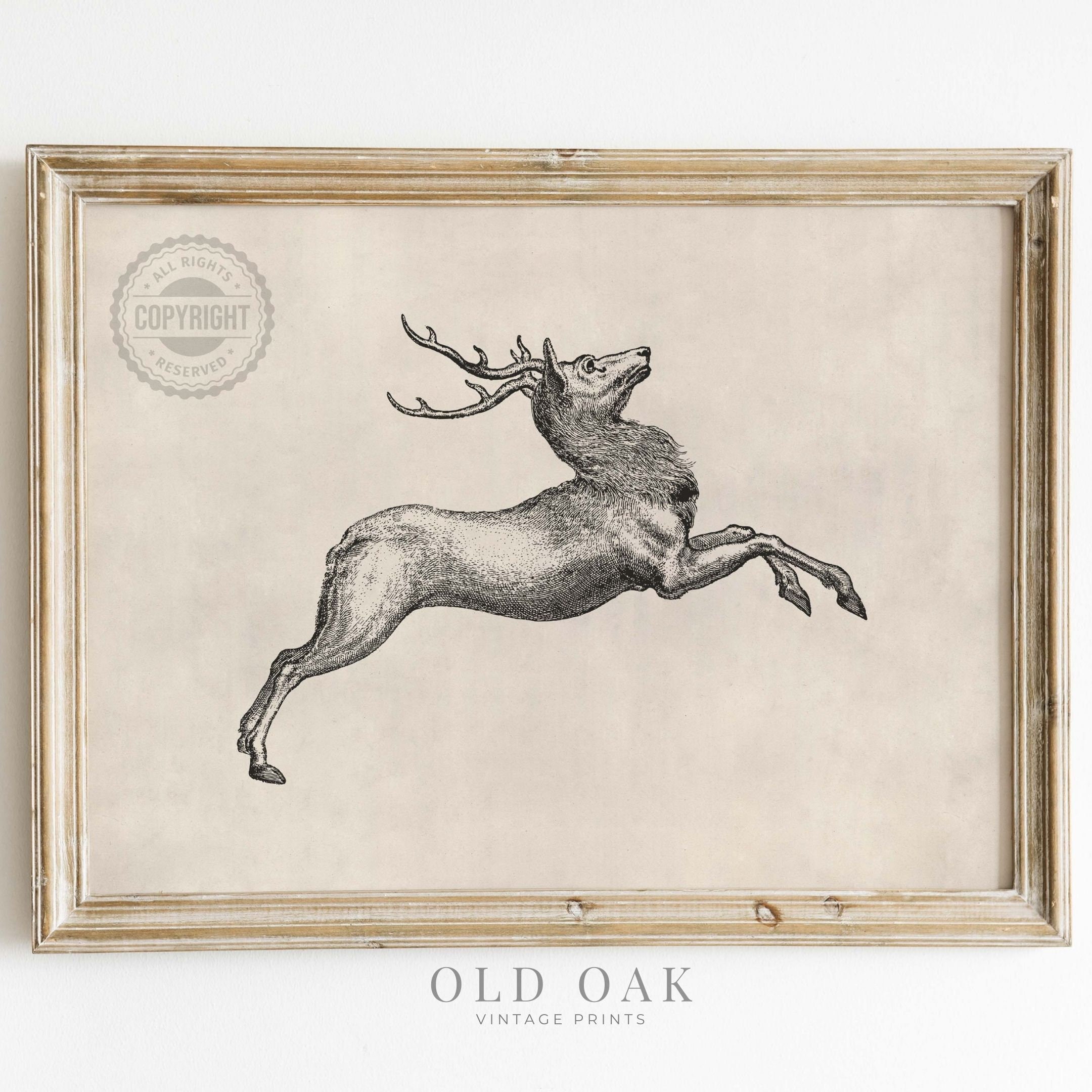 Antique Deer Sketch Vintage Etching Antique Woodland - Etsy
