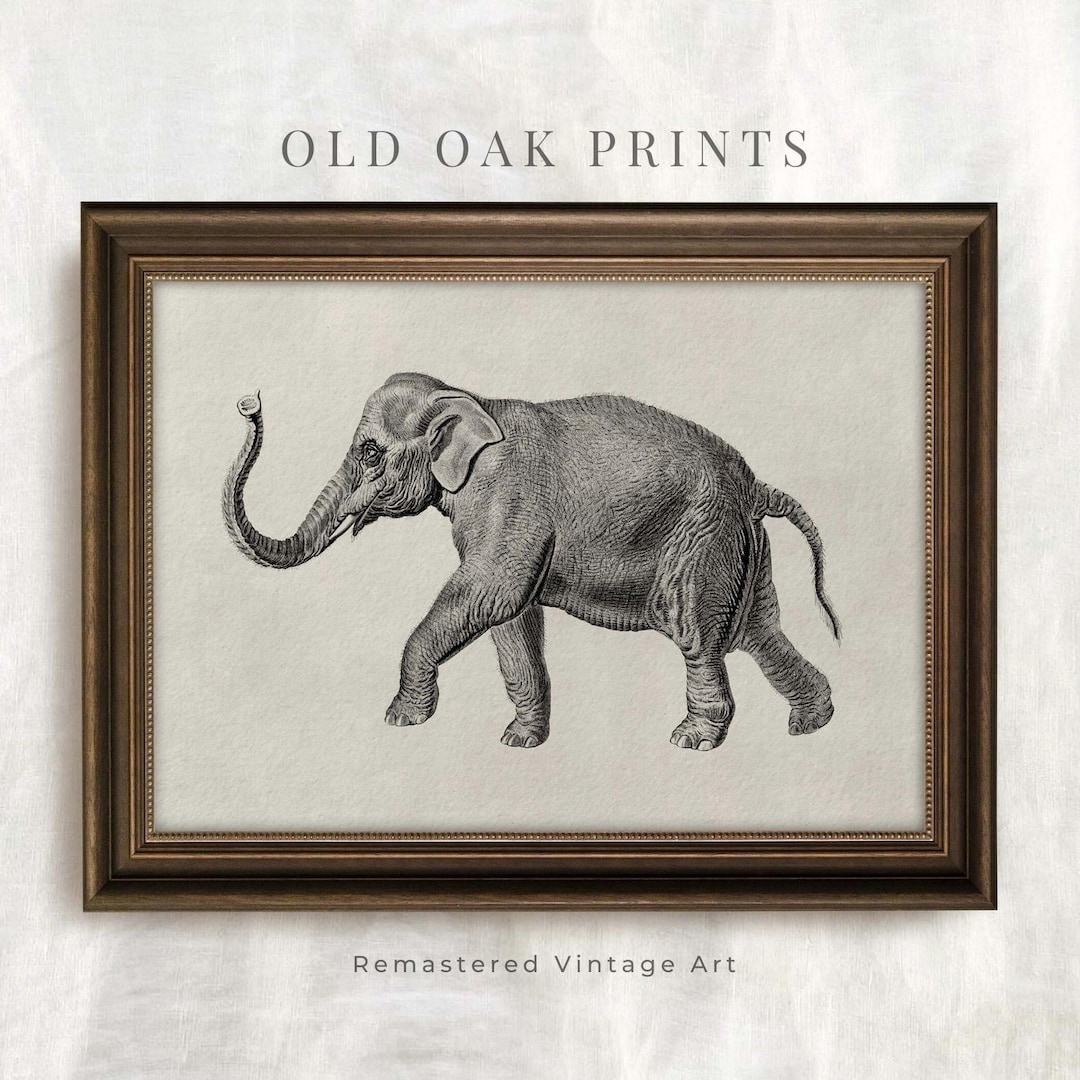 Vintage Elephant Drawing | Nursery Décor Indian Elephant Sketch ...