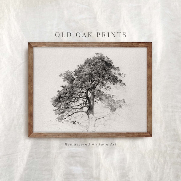 Oak Tree Print - Etsy