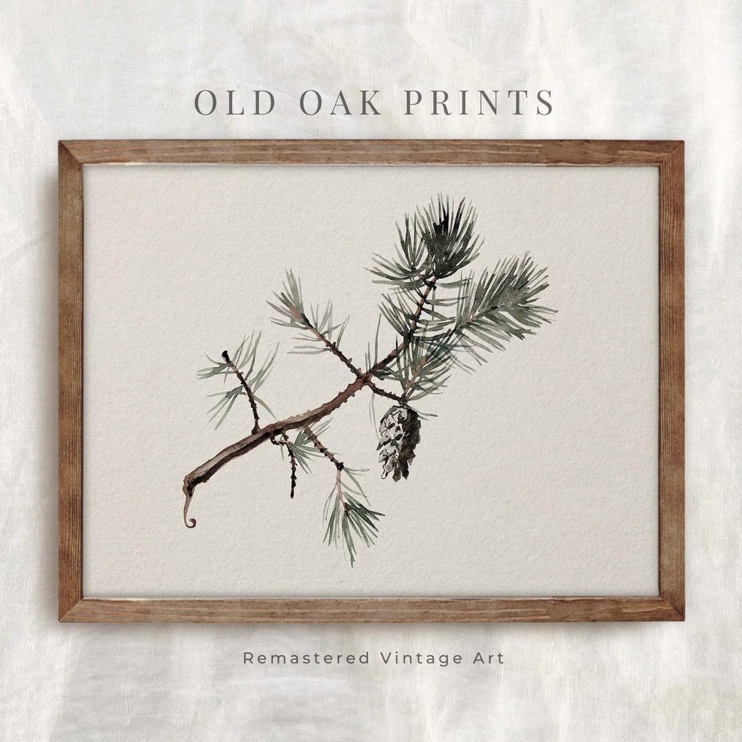 Vintage Pine Branch Print: Christmas Farmhouse Decor (digital Download ...