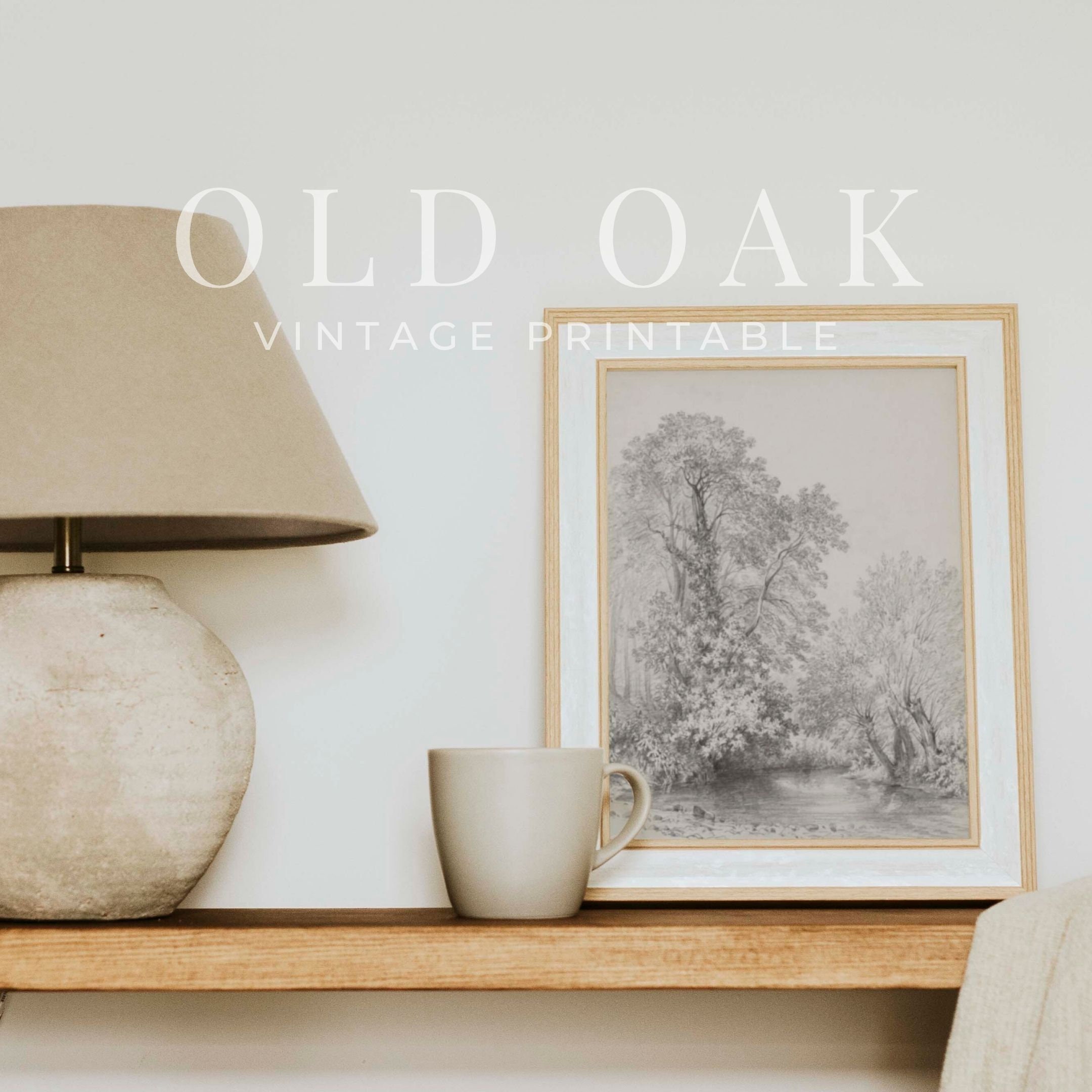 Landscape Sketch Trees Drawing Vintage Oak Tree Etching - Etsy