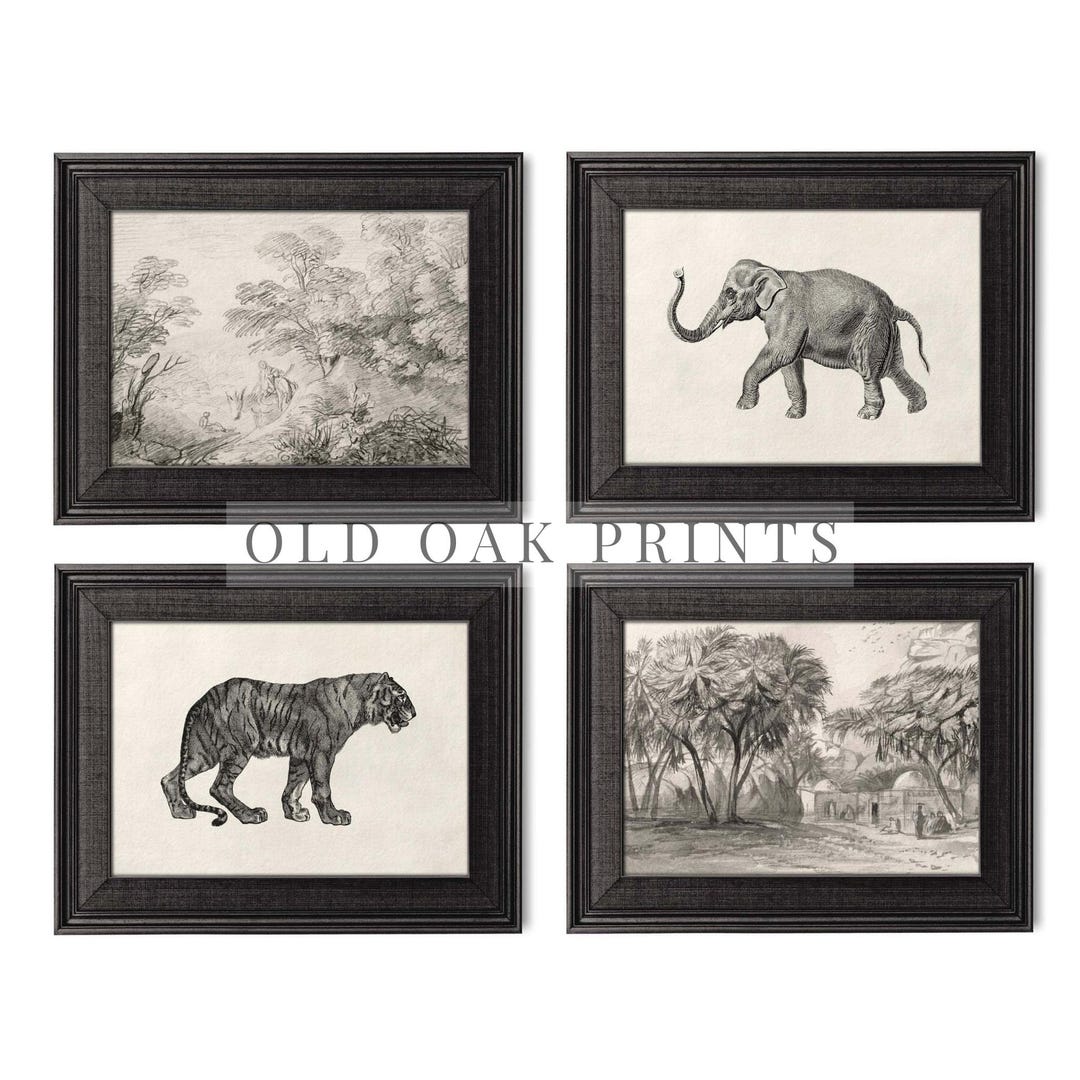 Vintage Jungle Animal Sketch Prints: Neutral Nursery Art (digital ...