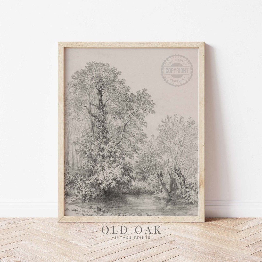 Landscape Sketch Trees Drawing Vintage Oak Tree Etching - Etsy