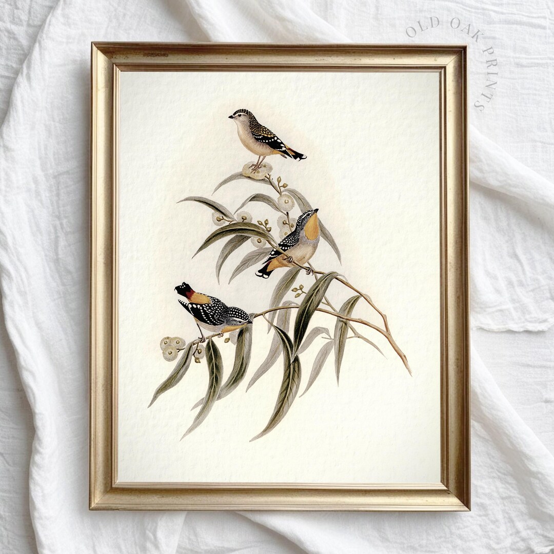 Cottagecore Vintage Bird Print | Botanical Farmhouse Wall Decor ...