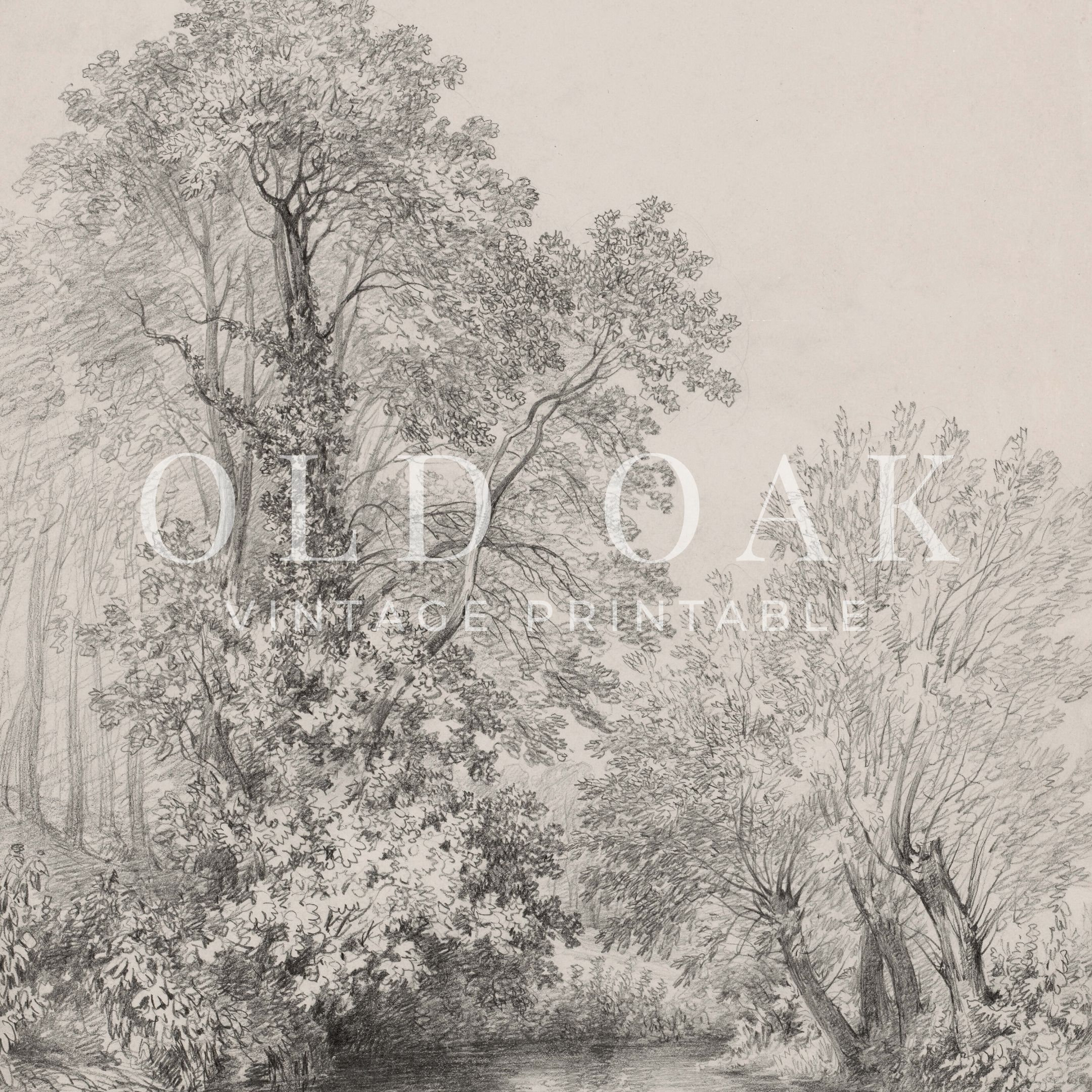 Landscape Sketch Trees Drawing Vintage Oak Tree Etching - Etsy
