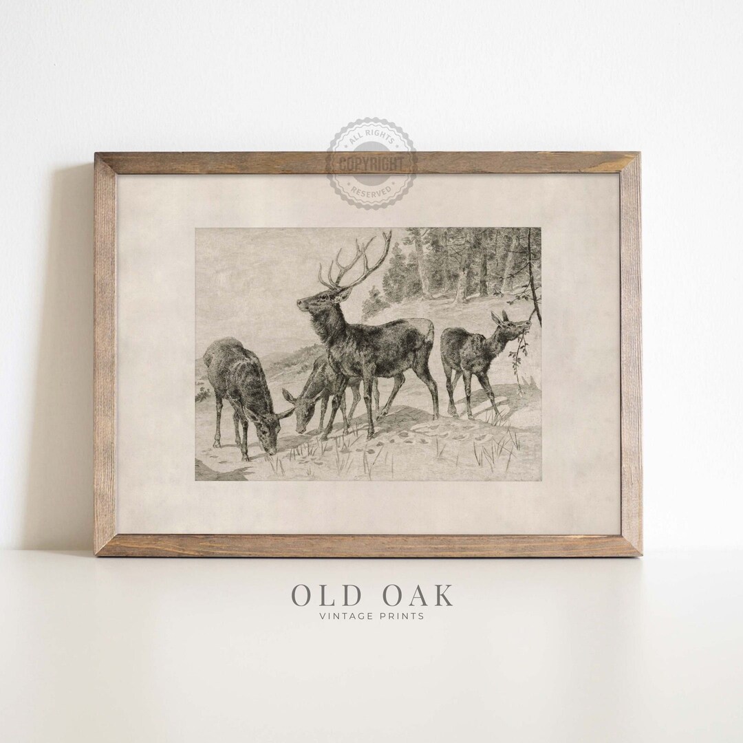 Winter Forest Reindeer Drawing Rustic Vintage Deer Drawing - Etsy