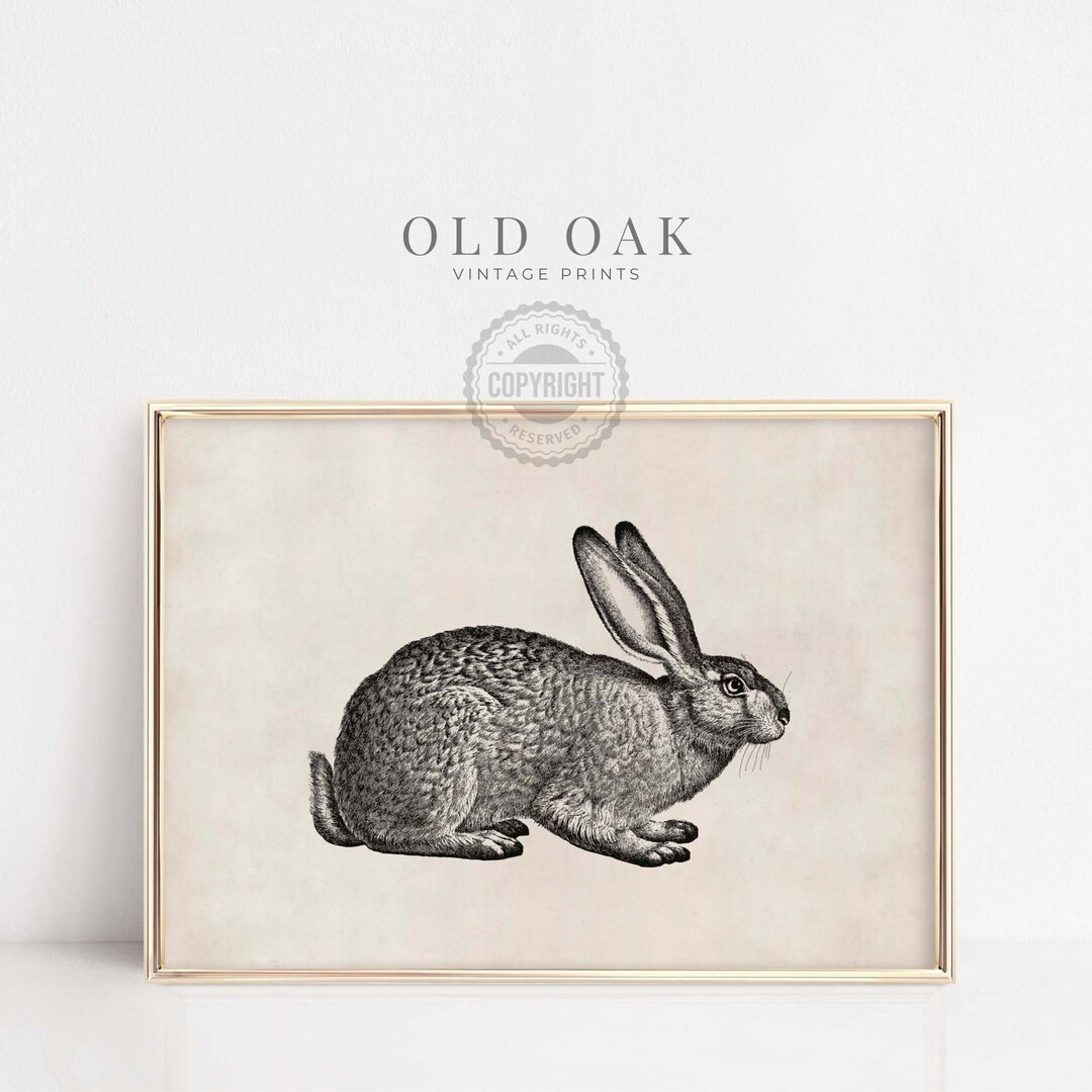 Vintage Bunny Rabbit Nursery Print Rustic Country Wall Art - Etsy