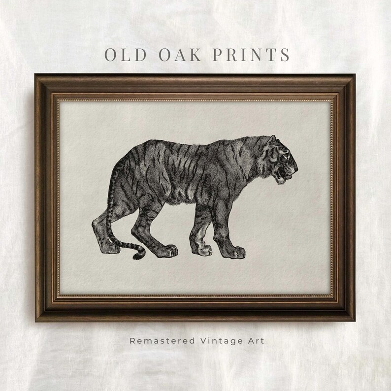 Vintage Jungle Animal Sketch Prints: Neutral Nursery Art (digital ...