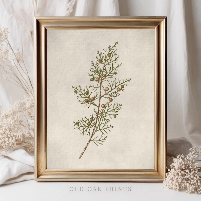Vintage Tree Branch Botanical Print: Rustic Farmhouse Wall Art (digital ...