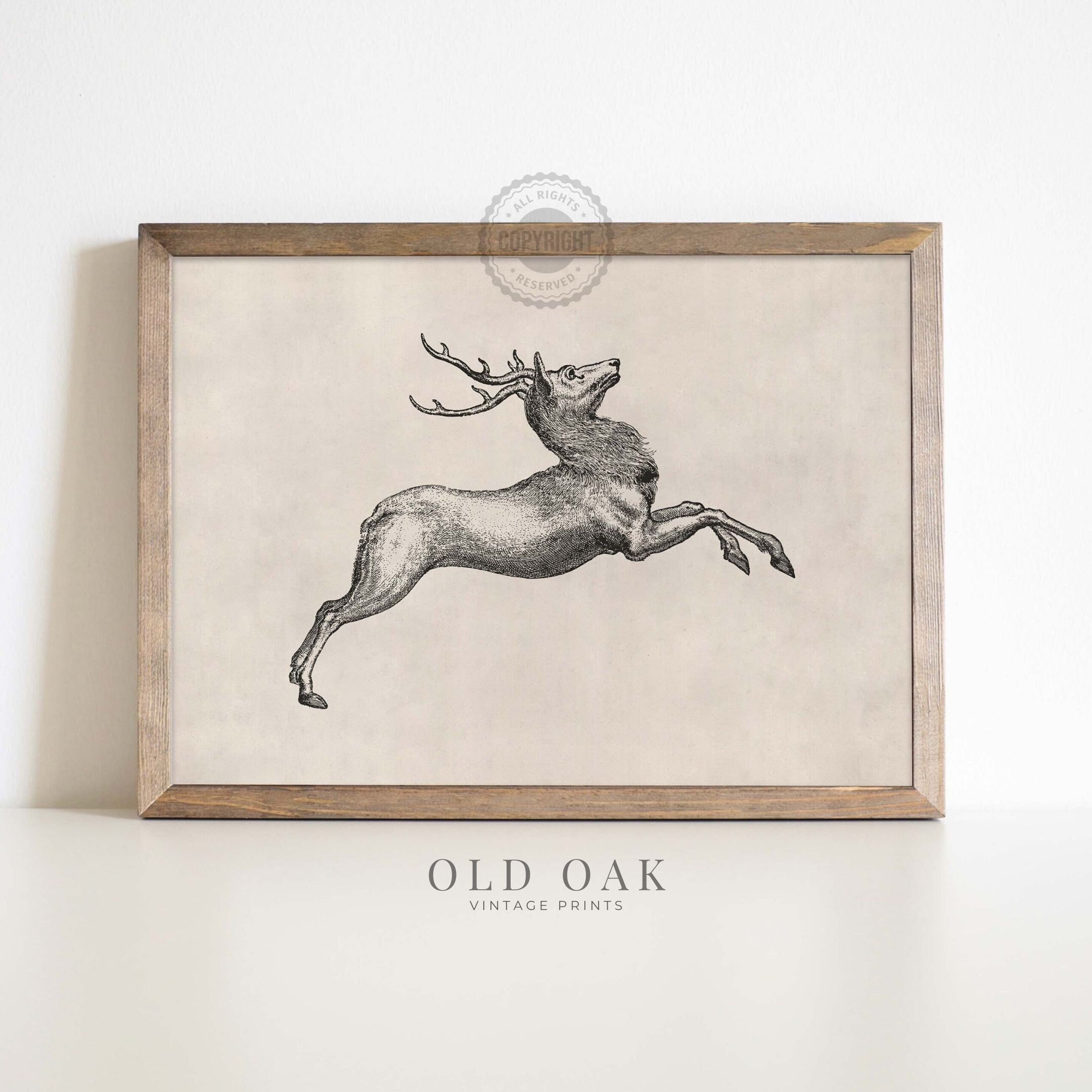 Antique Deer Sketch Vintage Etching Antique Woodland - Etsy