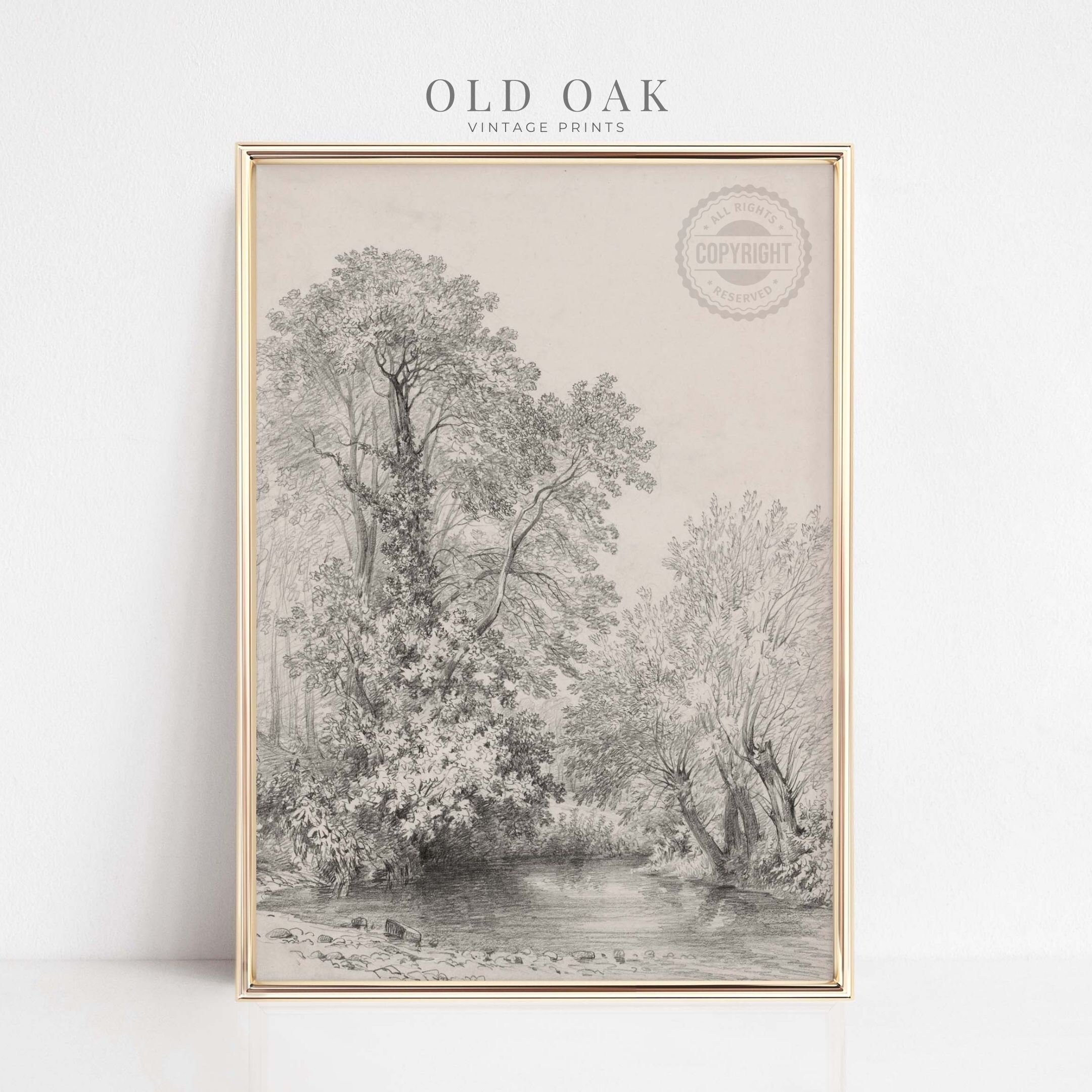 Landscape Sketch Trees Drawing Vintage Oak Tree Etching - Etsy