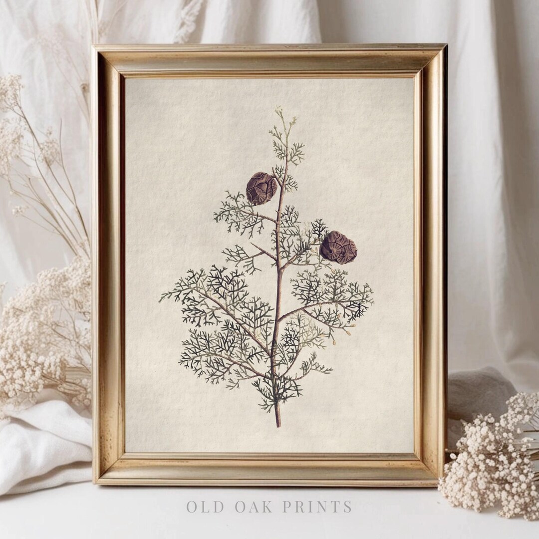 Winter Branch Art Print | Country Christmas Holiday PRINTABLE ...