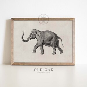 Vintage Elephant Drawing | Nursery Décor Indian Elephant Sketch ...