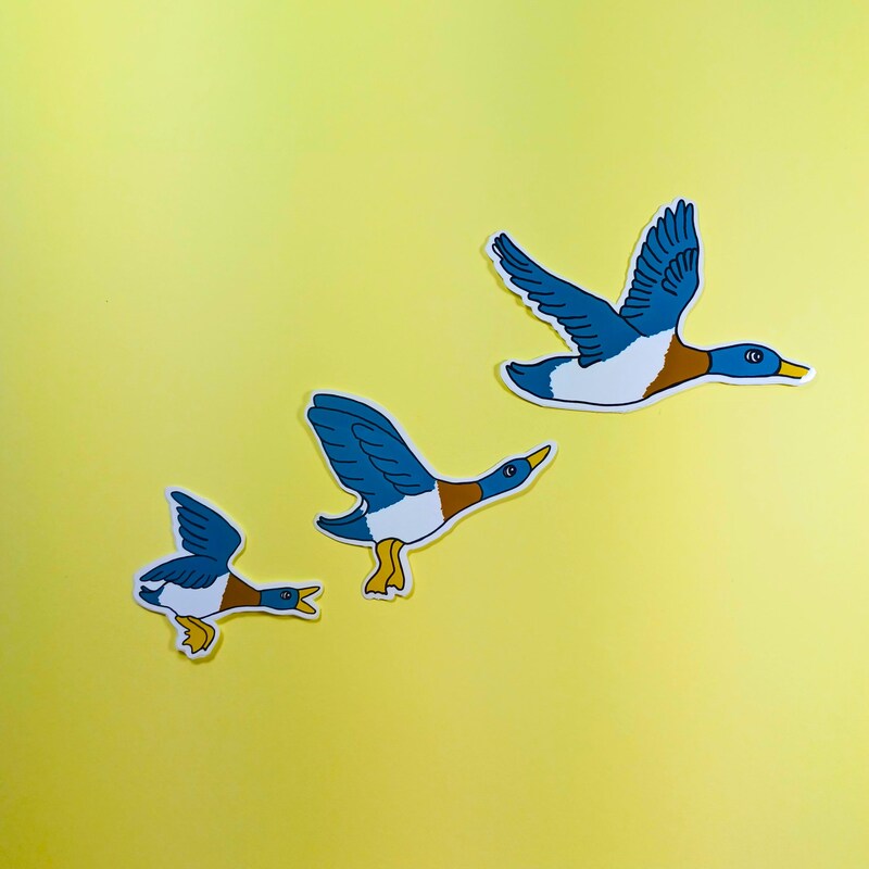 Flying Ducks - Etsy UK
