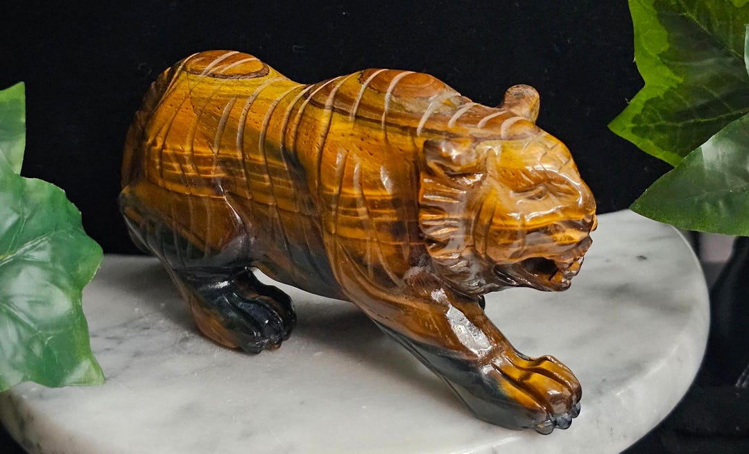 Saber Tooth Tiger Blue Tiger Eye High Quality Hand-carved Nice Flash - Etsy