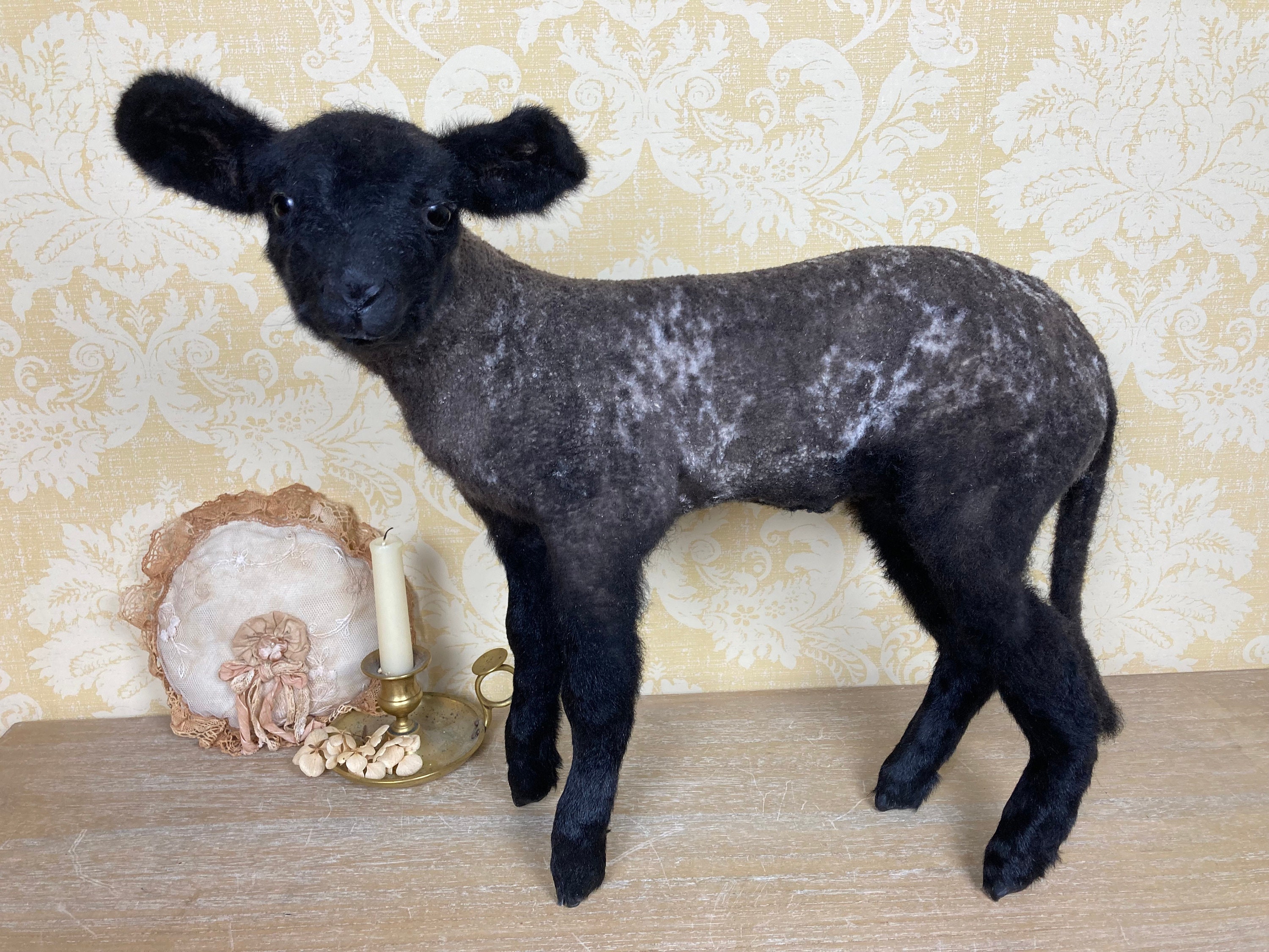 Lamb Taxidermy, Brown and White Lamb Mount French Brocante, Shabby ...