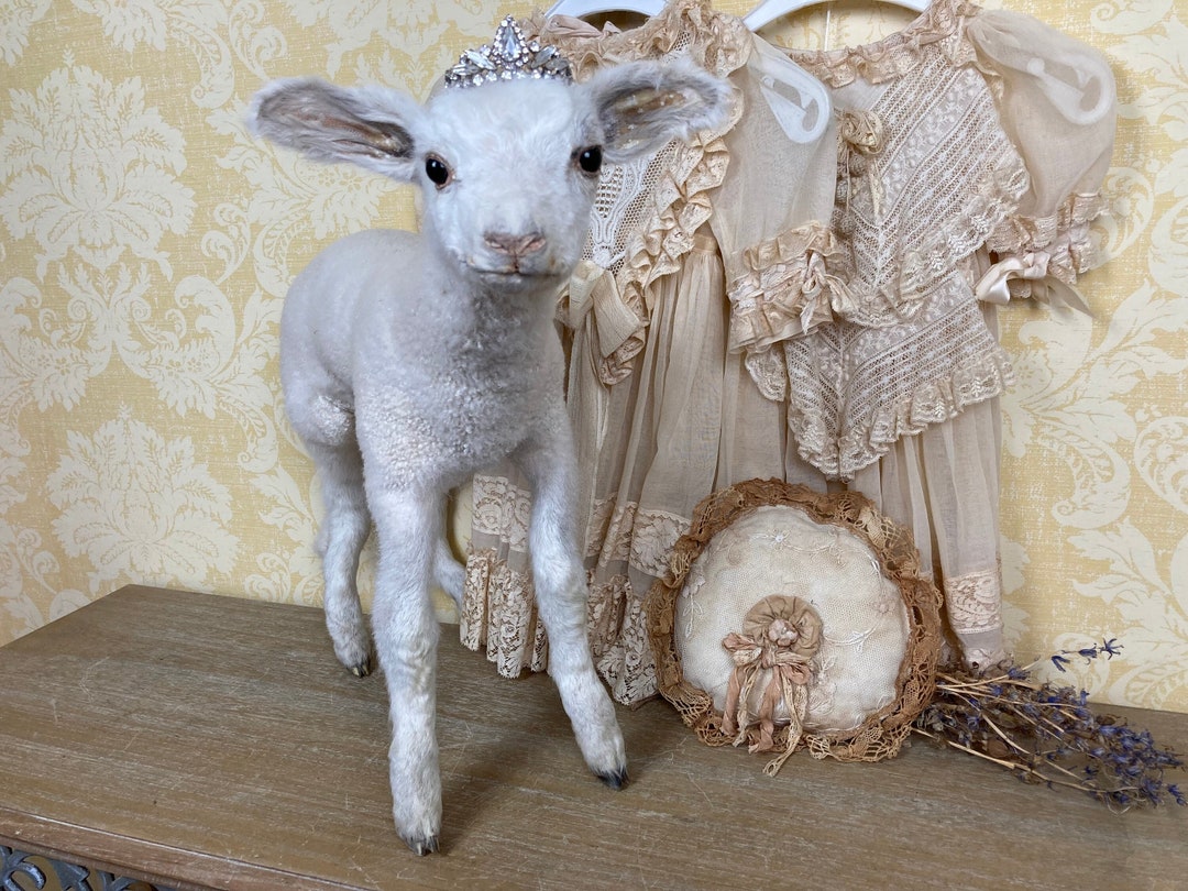 Brocante Lamb Taxidermy, White Lamb Mount French Brocante, Shabby Decor ...