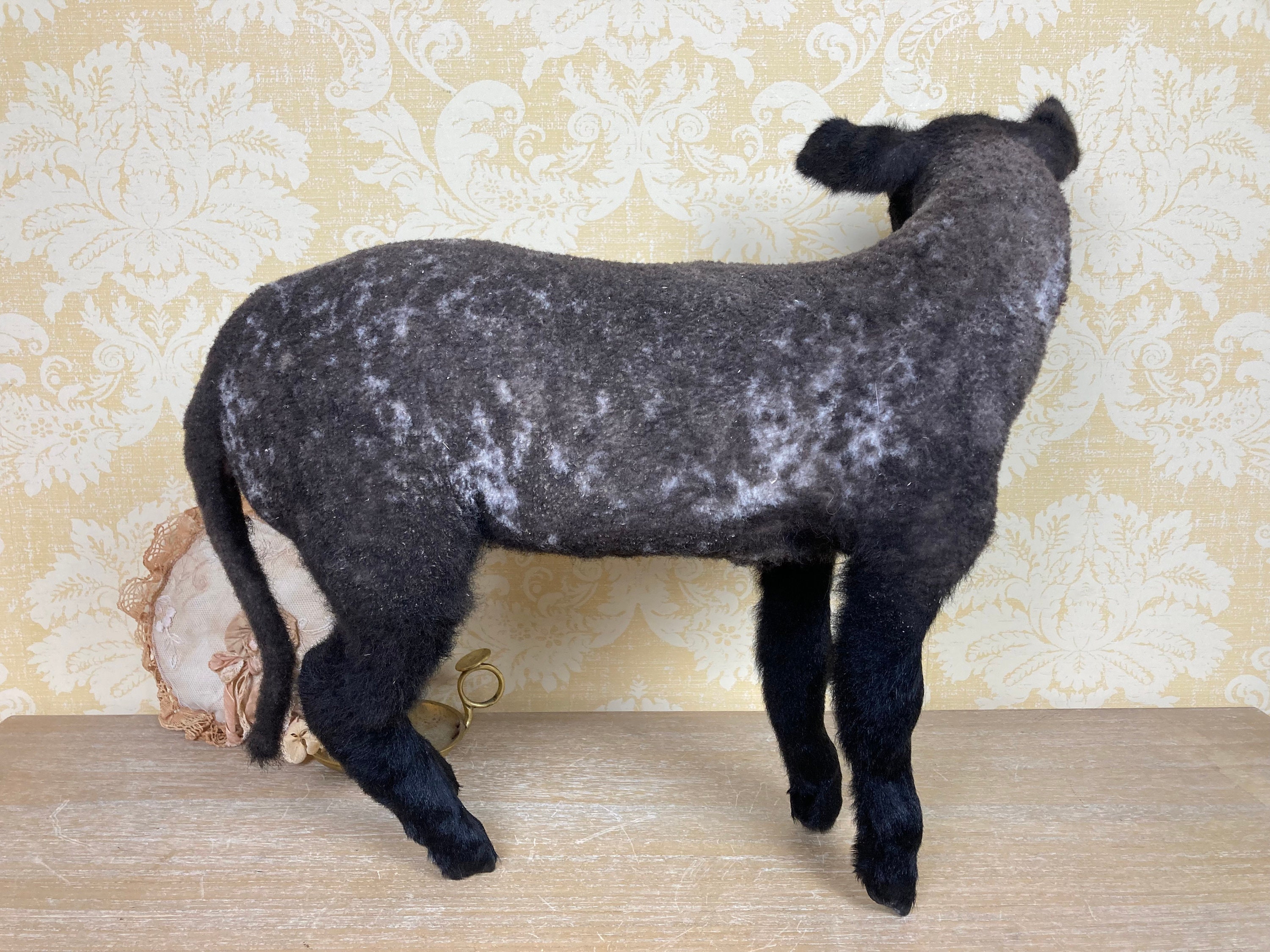 Lamb Taxidermy, Brown and White Lamb Mount French Brocante, Shabby ...