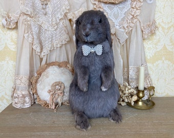 Rabbit Mounts - Etsy