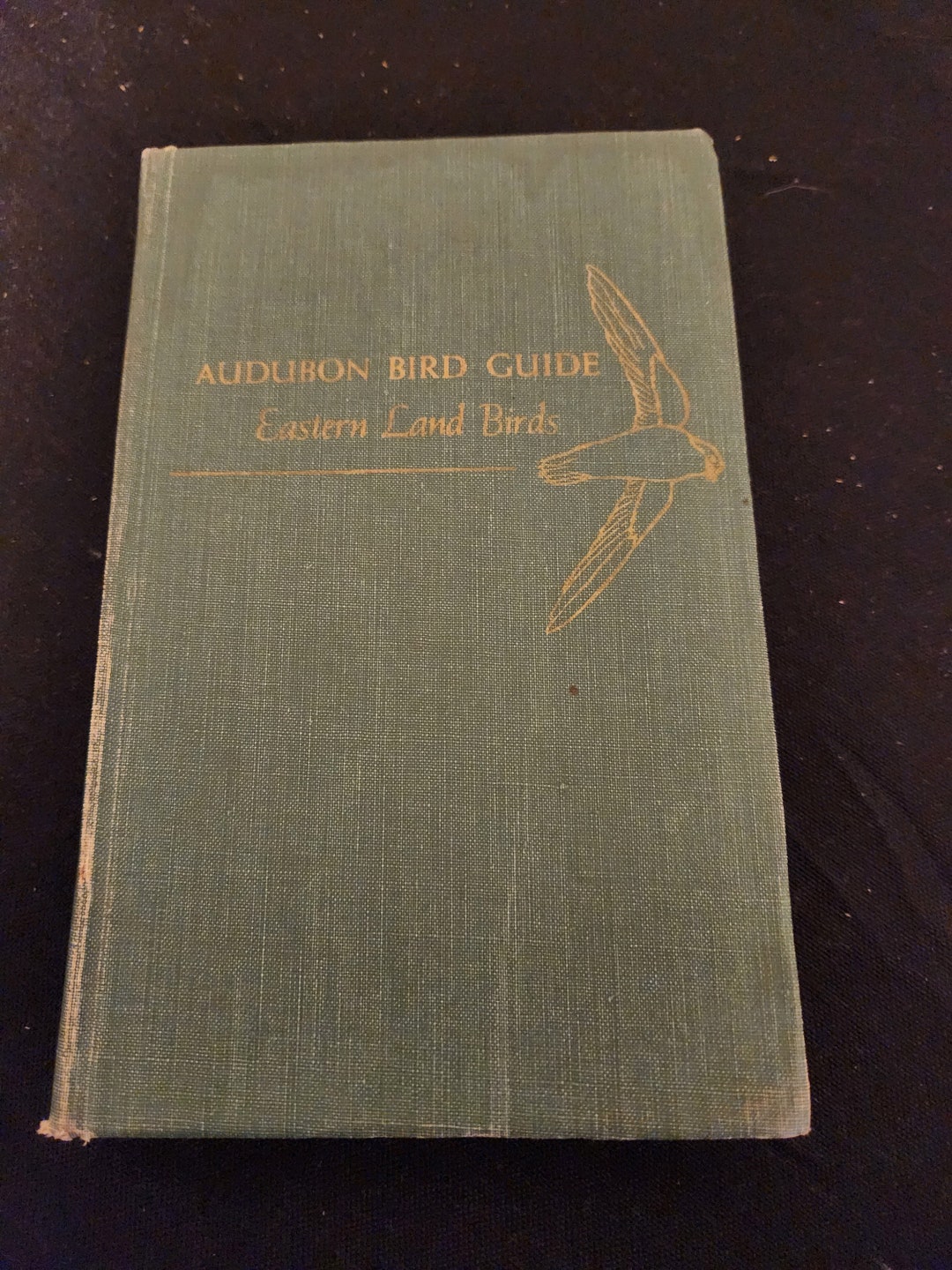 Audubon Bird Guide Eastern Land Birds 1946, 1949 Hardcover - Etsy