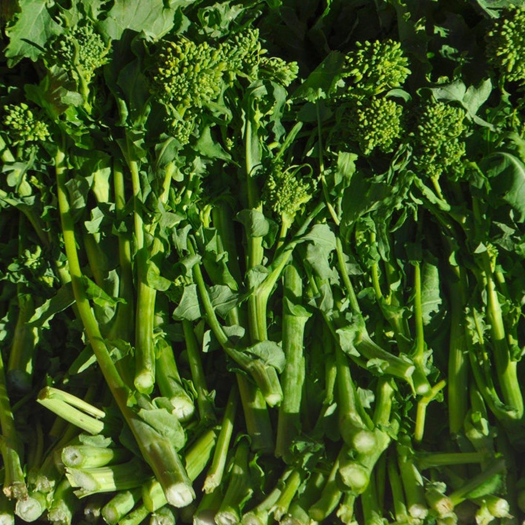 Organic Broccoli Raab / Spring Rapini Seeds - Etsy