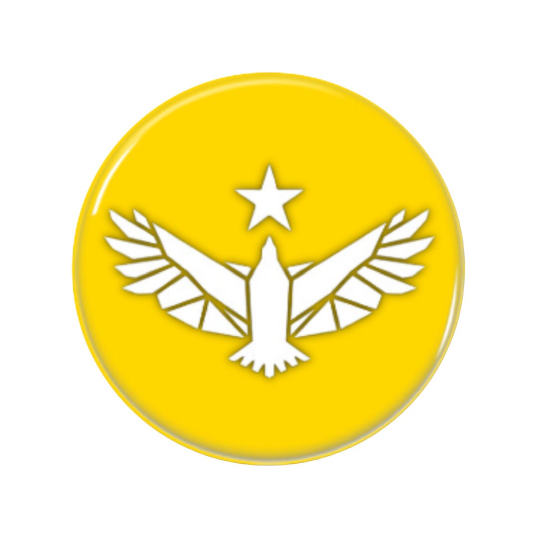 Starfield Factions, Button Pin Badges 32mm 58mm, Gaming Gifts, Factions ...