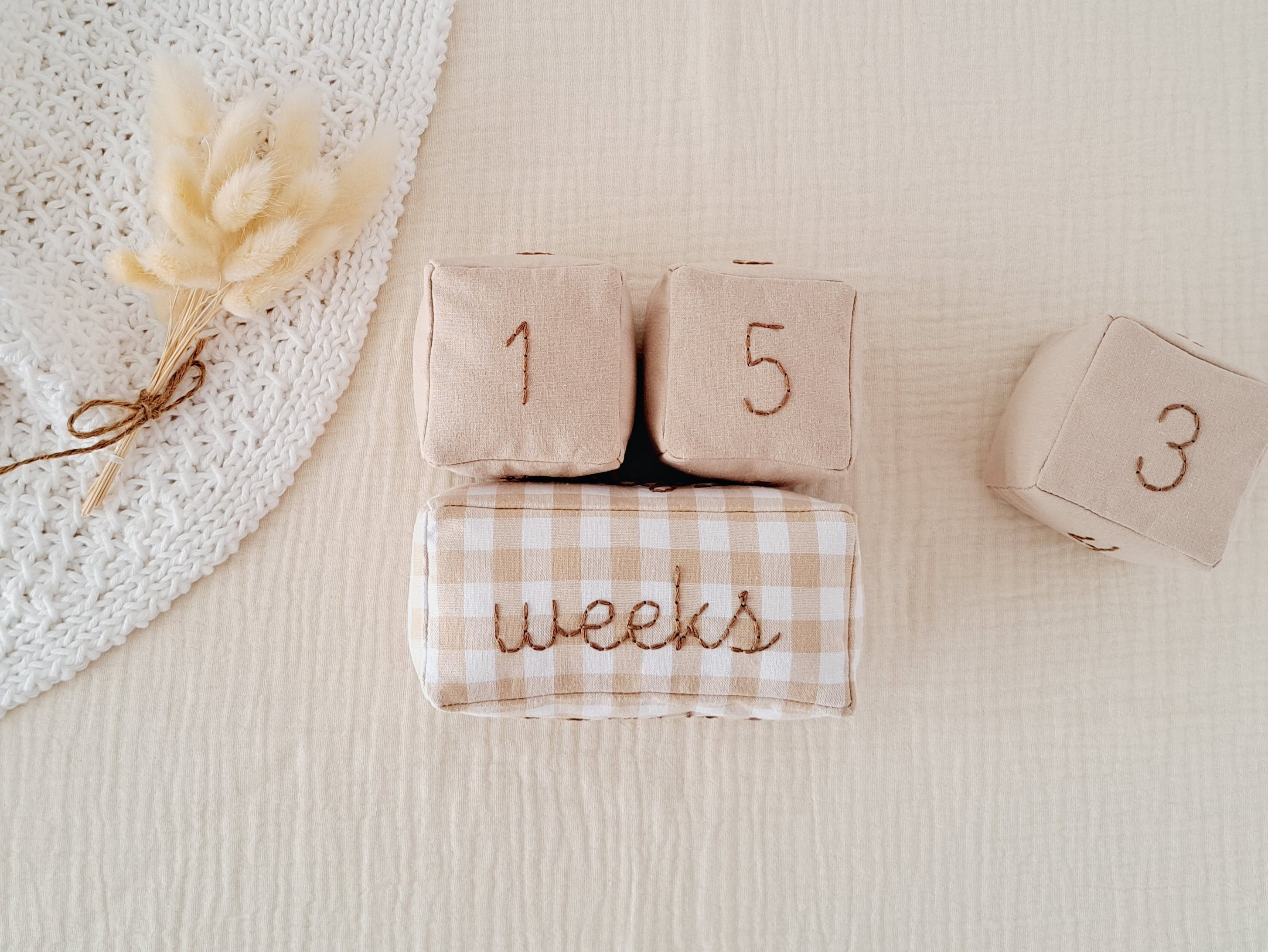 Gingham Baby Milestone Blocks Custom Name Age Blocks Set - Etsy