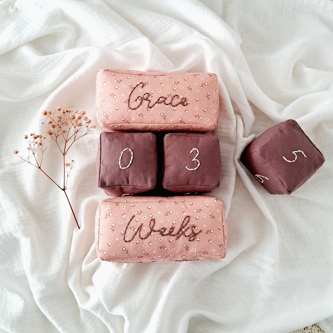 Modern Milestone Blocks, Tiny Flowers Baby Monthly Blocks, Pink and ...