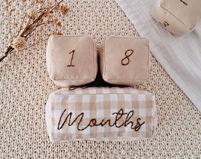 Custom Monthly Milestone Blocks, Gingham Age Blocks for Babies, Beige ...
