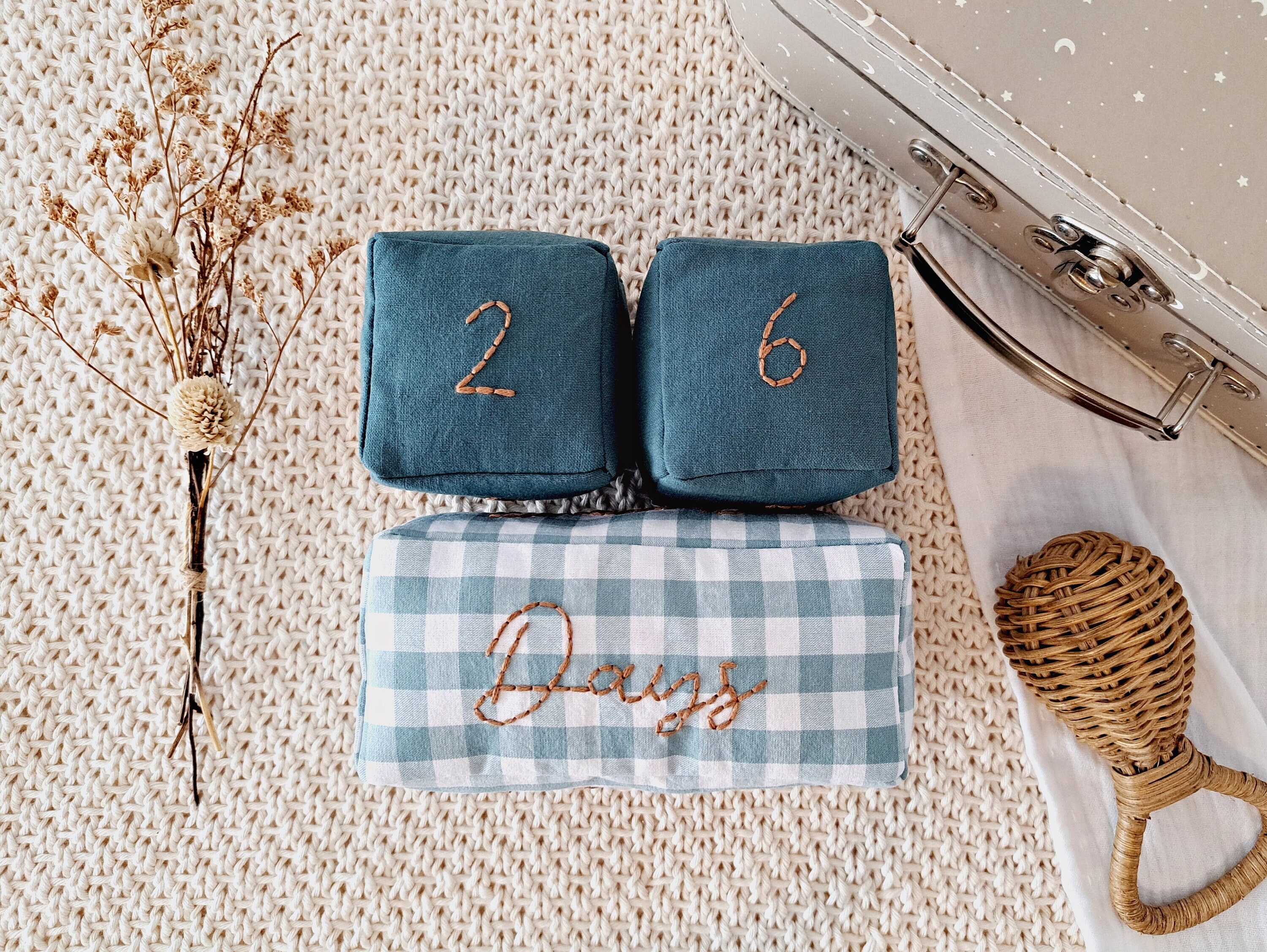 Custom Monthly Milestone Blocks Gingham Age Blocks for - Etsy