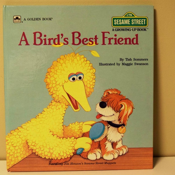 Sesame Street Friend - Etsy
