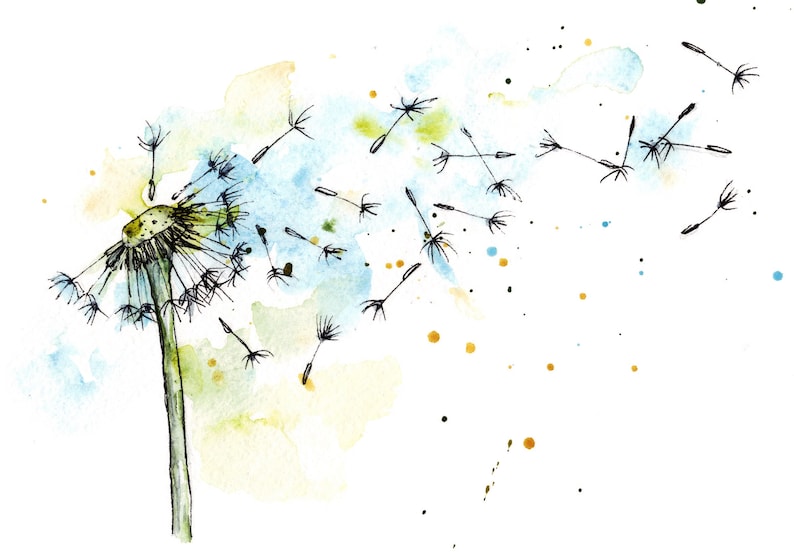 Pusteblume Aquarell Illustration Botanische Zeichnung - Etsy.de