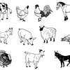 Farm Animals, Vector, Animals, Instant Download, Digital Clipart ...