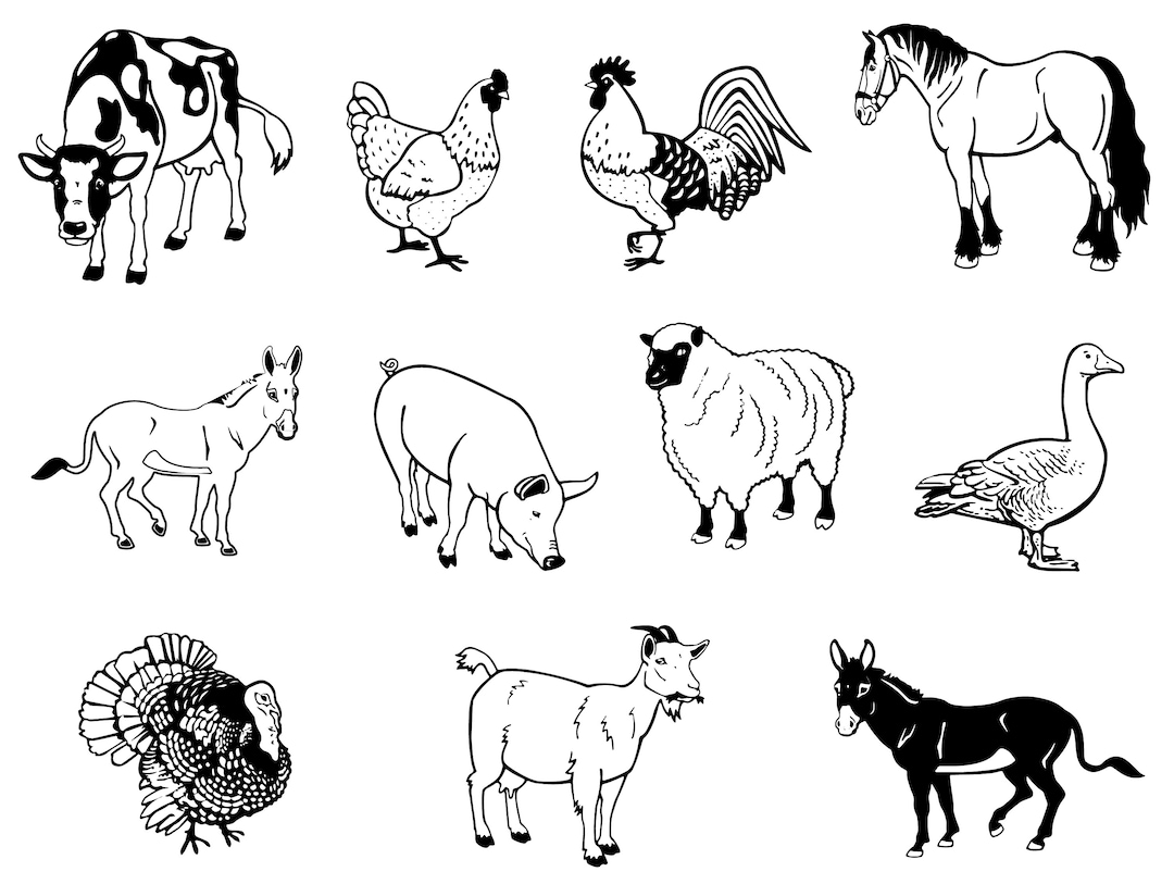 Farm Animals, Vector, Animals, Instant Download, Digital Clipart ...