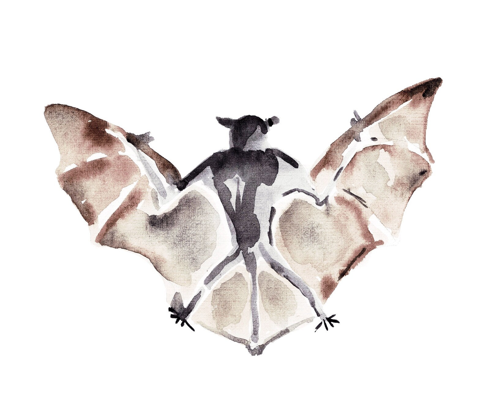 Bats Clipart Bat Mouse Clipart Watercolor Clipart Halloween - Etsy