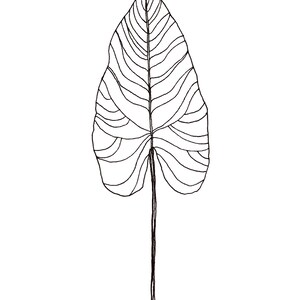 Palm Leaves Clipart Bundle, Pen Leaves, Botanical Foliage Illustration ...