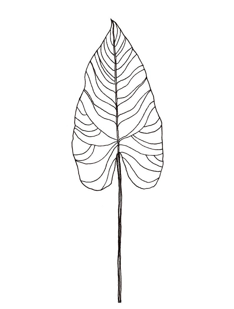 Palm Leaves Clipart Bundle Pen Leaves Botanical Foliage - Etsy