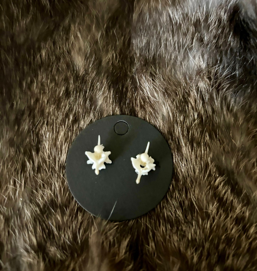 Viper Vertebrae Stud Earrings - Etsy