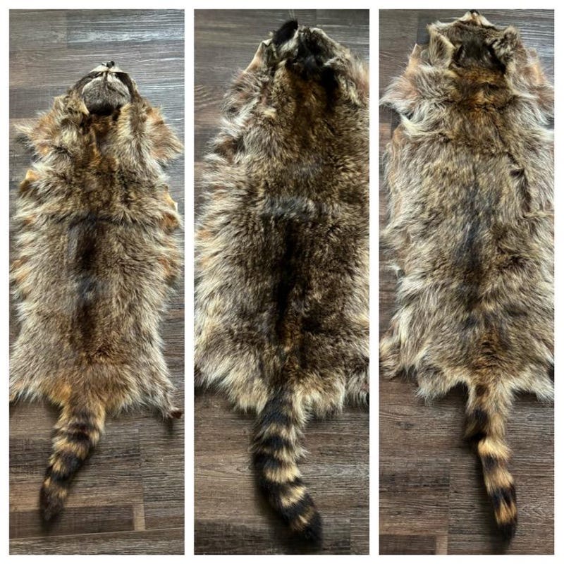 Real Animal Skin - Etsy
