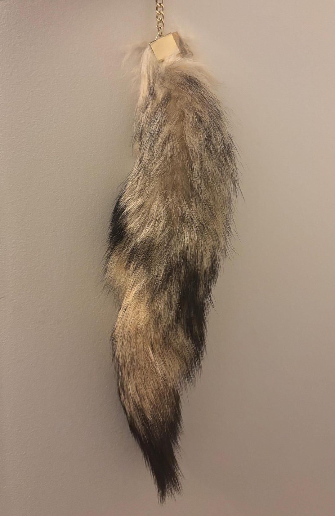 Kit Fox Tail Keychain, Costume Piece, Genuine Fur, Real Kit Fox Tail - Etsy