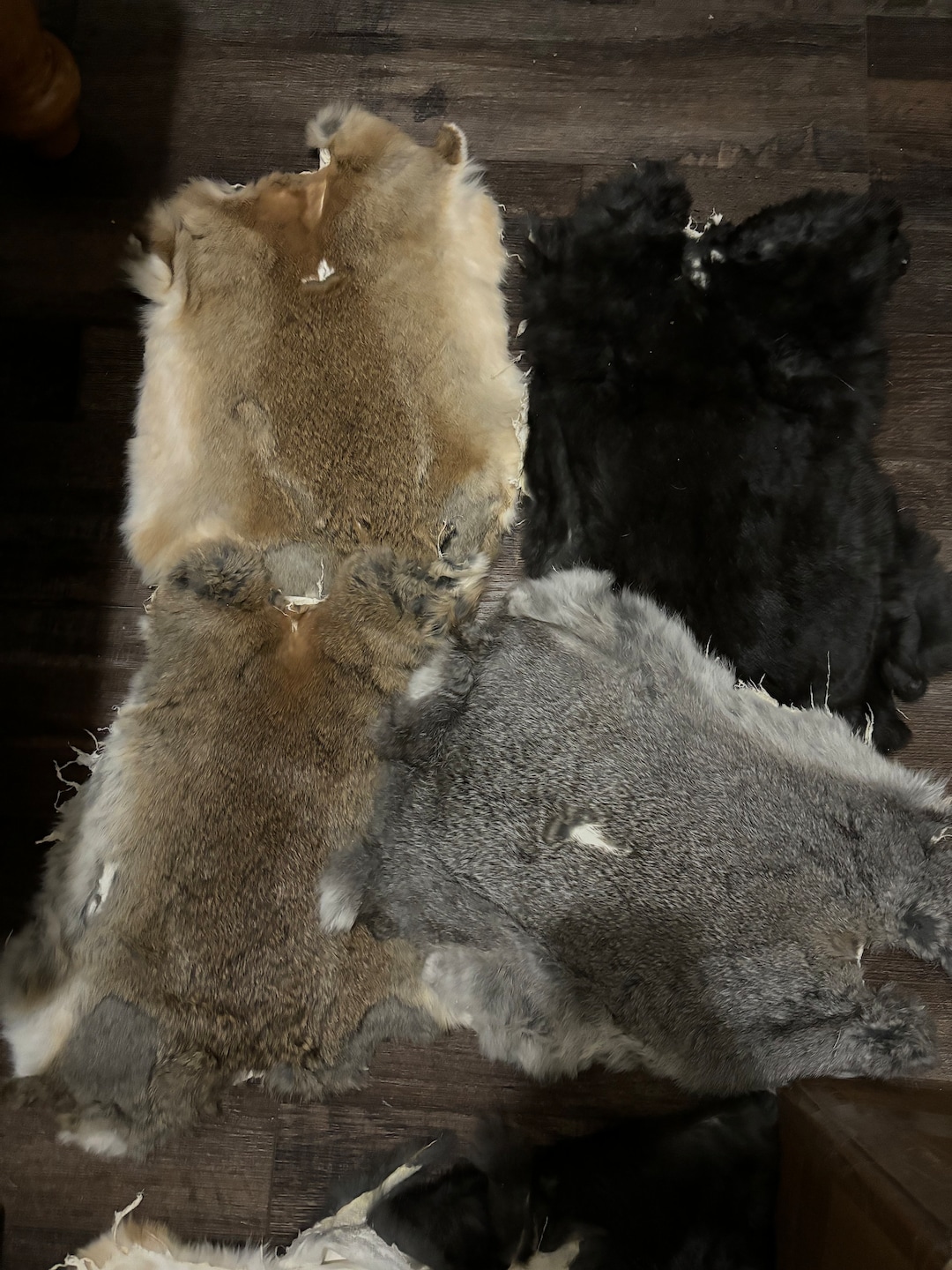 B Grade/damaged Rabbit Pelt - Great for Home Decor, Accent Piece, Super ...