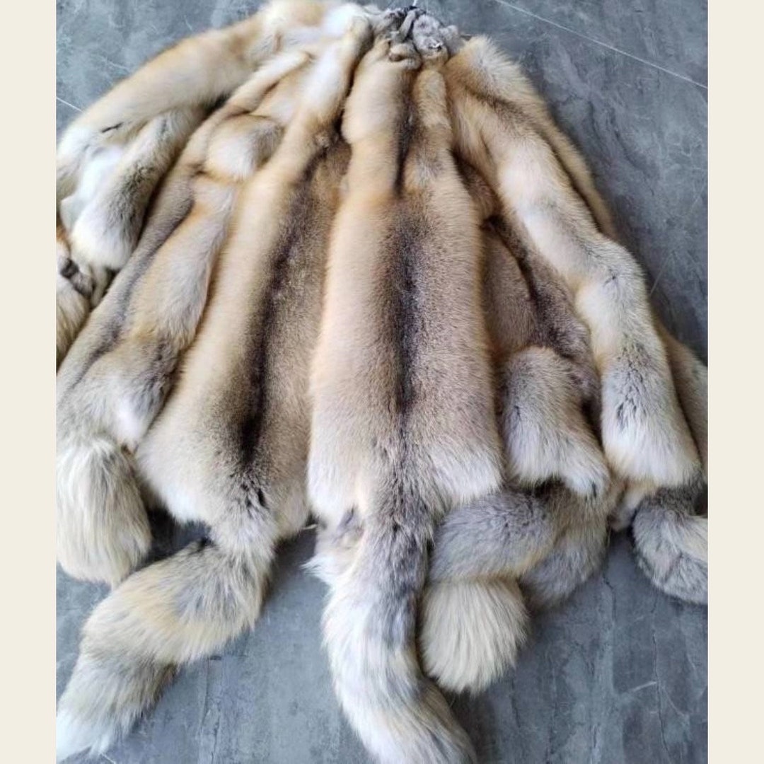 Golden Island Fox Pelt Pre Order - Etsy