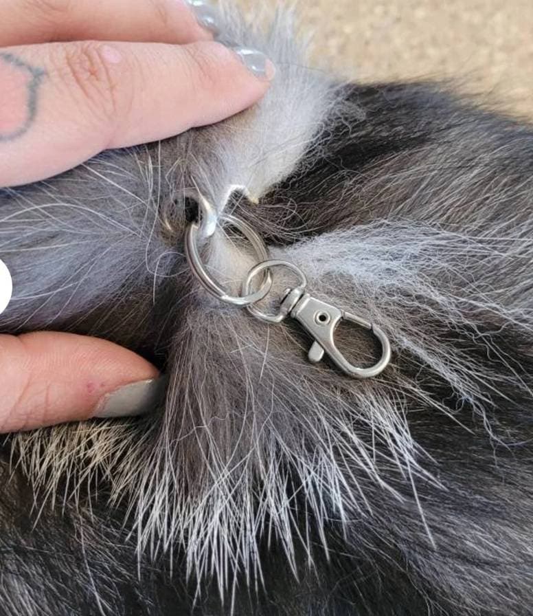 Red Fox Tail Keychain Fox Tail Keychain Genuine Fur - Etsy